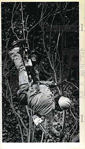 vintage pruners for sale | Compare 30 second hand ads