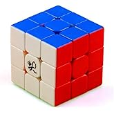 Amazon.com: Dayan ZhanChi 3x3x3 6-Color Stickerless Speed Cube : Toys ...