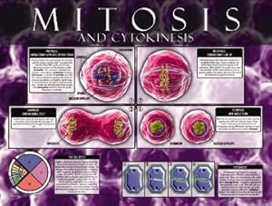 Cells Structure, Function & Processes Biology Poster Series, Set of 10 ...