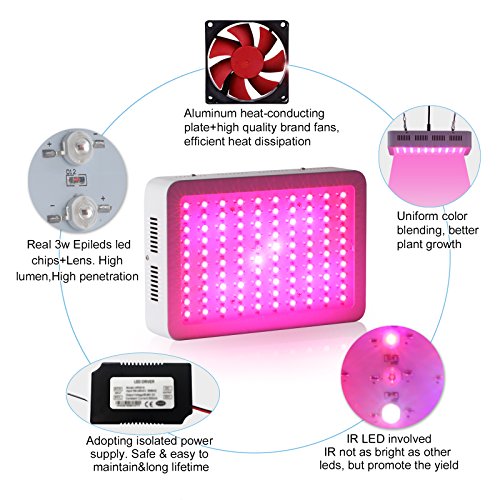 Roleadro 300w LED Grow Light /2 PCS/ Pflanze Lampe Growbox für ...