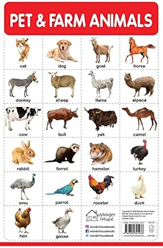 Pet And Farm Animals - My First Early Learning Wall Chart: For ...