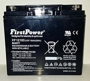 Bateria First Power FP12180: Amazon.es: Electrónica