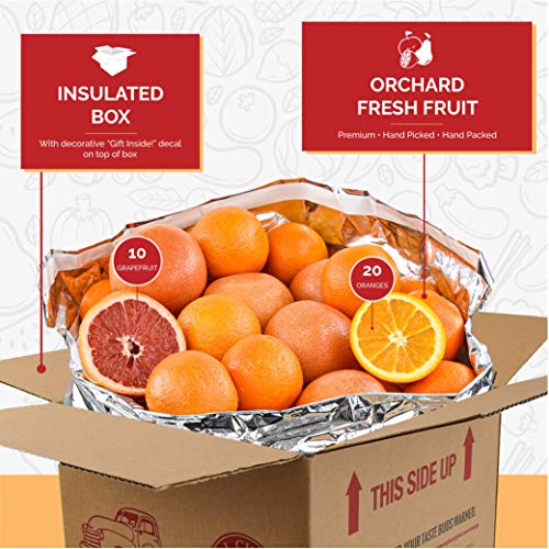 Gourmet Fruit Gift Pack, (20lbs) Mixed Citrus Box with Oranges and ...