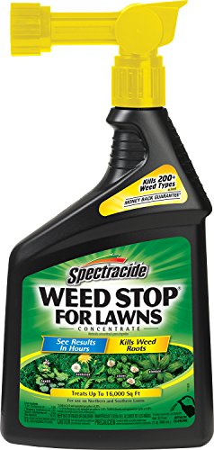 Spectracide 95835 Weed Stop for Lawns Ready-to-Spray Concentrate, 32 ...