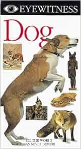 Eyewitness Video: Dog: 9781564589163: Amazon.com: Books