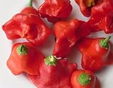 Bishop's Crown Pepper: Distinctive Delight - PepperScale