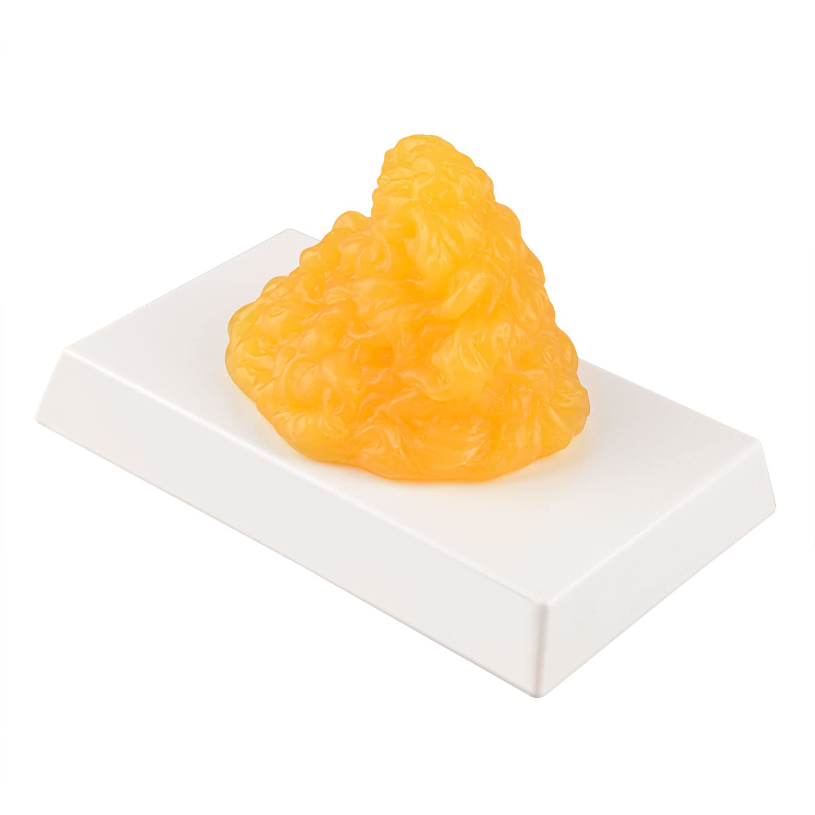 Human Body Fat Replica 1 Lb With Display Base, Keep Fit & Weight Loss ...