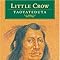 Little Crow/Taoyateduta: Leader of the Dakota: Swain, Gwenyth ...