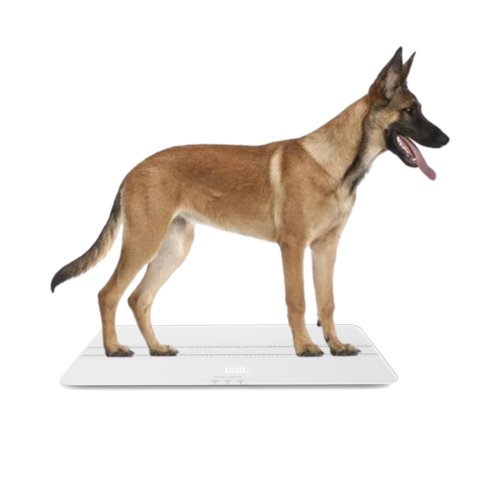 Dog Scale for Large Dogs Rechargeable Digital pet Scale 220Lbsx0.2Lbs ...