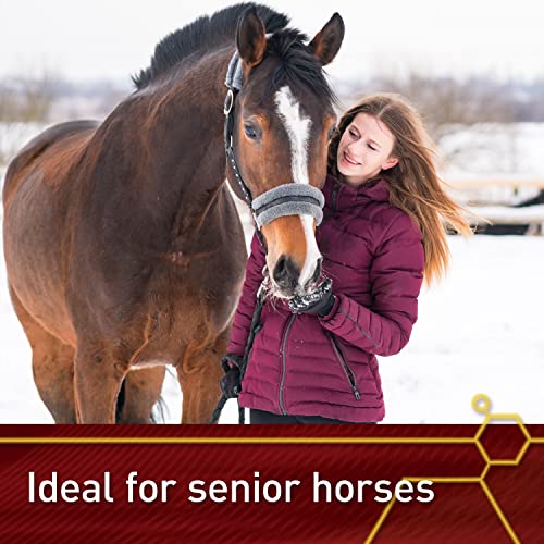 Vita Flex Pro Accel Lifetime Health & Wellness Formula for Horses, 5 ...