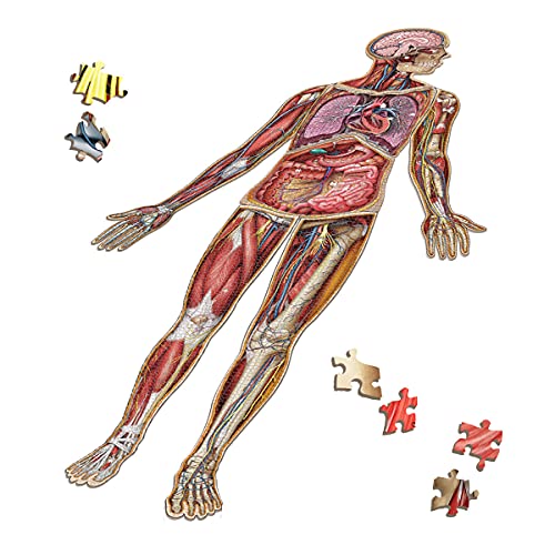 Mua Human Anatomy Jigsaw Puzzle - Full Body Anatomy Bundle: 10 Foot ...