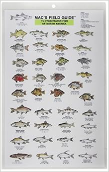 Buy Mac's Field Guide to Freshwater Fish of North America (Mac's Field ...