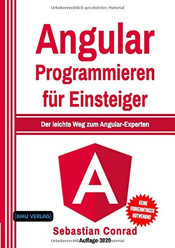 Angular: Programmieren für Einsteiger: Der leichte Weg zum Angular ...