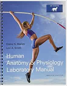 Amazon.com: Human Anatomy & Physiology, Books a la Carte Edition; Human Anatomy & Physiology ...