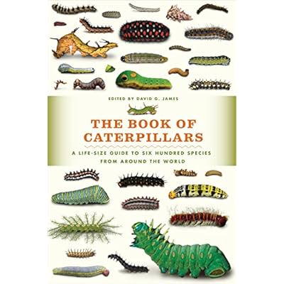 The Book of Caterpillars: A Comprehensive Guide to Sri Lanka | Ubuy