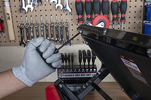 Performance Tool W80275 Metric T-Handle Hex Key Set, 10-Piece , Black ...