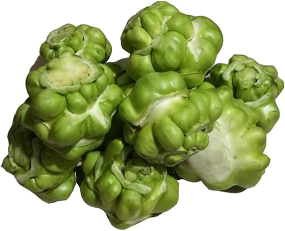 Amazon.com : Giant Tuber Mustard Seeds 2000+ Extra Large-Fuling Zhacai ...