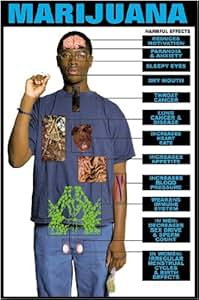 Amazon.com: Harmful Effects of Marijuana 24" X 36" Laminated Poster ...