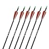 GPP Carbon 30-Inch Arrows with Field Points Replaceable Tips (12 Pack ...