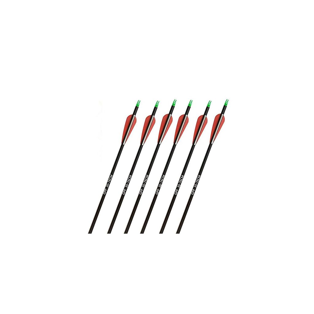 GPP Carbon 30-Inch Arrows with Field Points Replaceable Tips (12 Pack ...