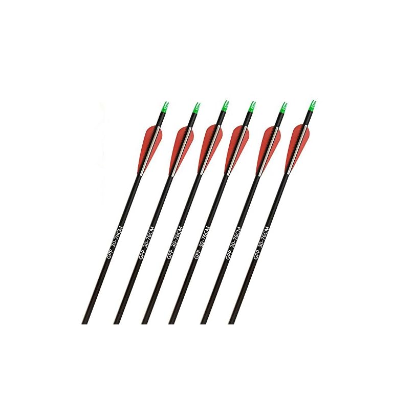 GPP Carbon 30-Inch Arrows with Field Points Replaceable Tips (12 Pack ...