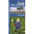 Texas Trees & Wildflowers: A Folding Pocket Guide to Familiar Plants ...