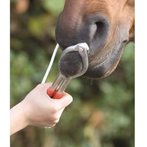 SHIRES EQUESTRIAN HUMANE TWITCH HORSE RESTRAINT/CONTROL: Amazon.co.uk ...
