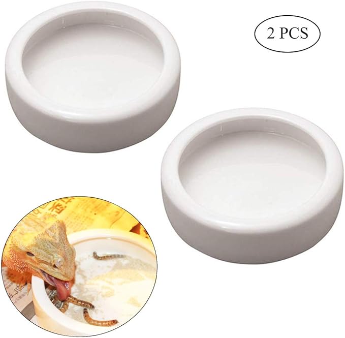 Amazon.com : Orgrimmar 2 Pack Reptile Food Bowl Lizard Gecko Food Water ...