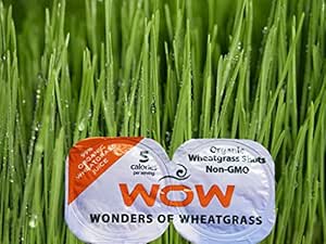 Amazon.com : WOW Frozen Wheatgrass Juice - ONLY $1.67 per Oz (84 Fl Oz ...