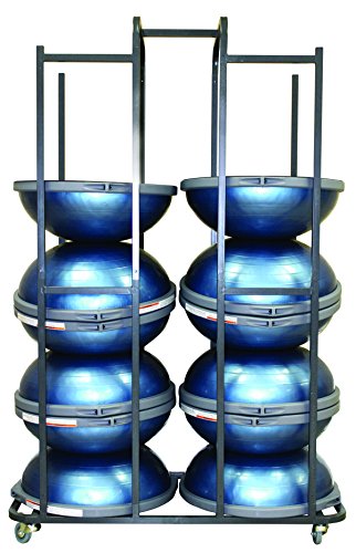 Bosu Storage Rack for sale | Katy, TX | Nellis Auction