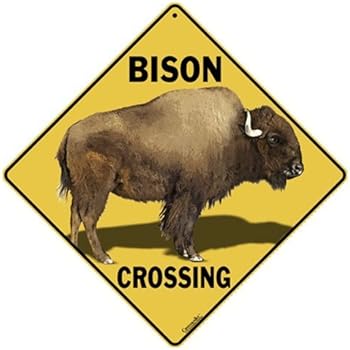 Amazon.com: Buffalo Crossing Sign Zone Xing | Indoor/Outdoor | 12" Tall ...