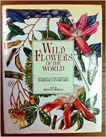 Wild Flowers of the World by Barbara Everard 1988: Barbara Everard ...
