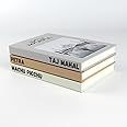 Amazon.com: Decorative Books for Home Decor - Fake Books for Decoration ...
