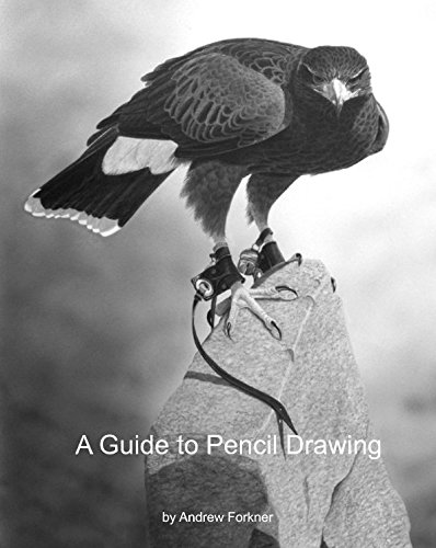 A Guide to Pencil Drawing: Andrew Forkner: 9781364564872: Amazon.com: Books