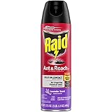Amazon.com: Raid Max Ant and Roach Spray (14.5 OZ,Pack - 1) : Health ...