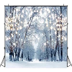Amazon.com : Funnytree 8x8ft Winter Scene Backdrop Wonderland Snowflake Photography Background ...