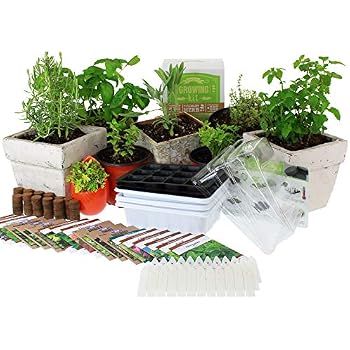 Amazon.com: Culinary Indoor Herb Garden Starter Kit | Premium Herb ...
