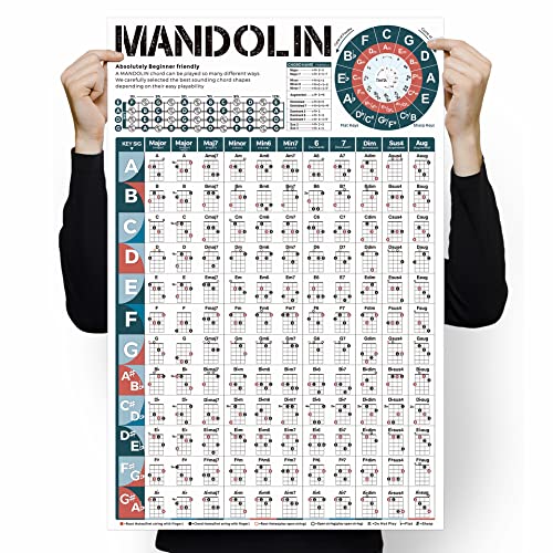 Mandolin Chord Chart Poster - 16''x24'' Wall Chart for Comprehensive ...