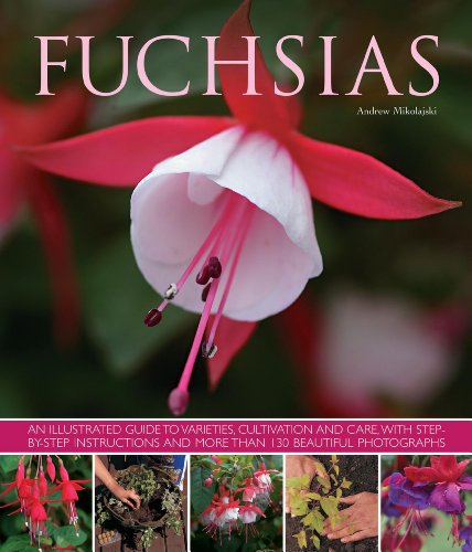 Fuchsias: An illustrated guide to varieties, cultivation and care, with ...