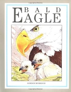 Bald Eagle (Walter Lorraine Books)