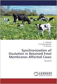 Synchronization of Ovulation in Retained Fetal Membranes Affected Cows ...