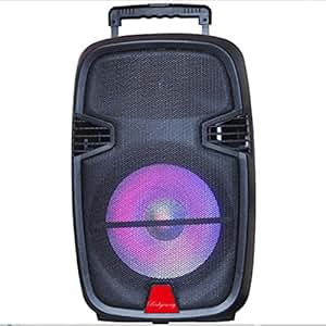 Amazon.com: Ridgeway QS-2915BS Portable Bluetooth Trolley Speaker ...