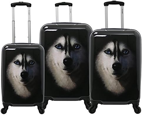 Chariot Dog 3-piece Expandable Hardside Lightweight Spinner Luggage Set ...