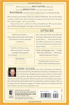 Little Bee: A Novel: Chris Cleave: 9781416589648: Amazon.com: Books