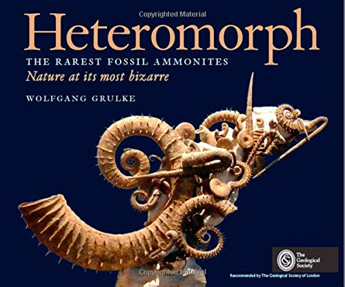 Heteromorph: The Rarest Fossil Ammonites: Nature at its Most Bizarre ...