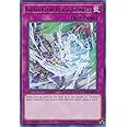 Amazon.com: Yu-Gi-Oh! - Gladiator Beast Sagittarii - CHIM-EN011 - Rare - 1st Edition - Chaos ...