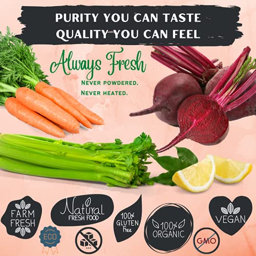 Elixir Shots Endurance Shot (12 Pack) Endurance Wellness Shot with Cold ...