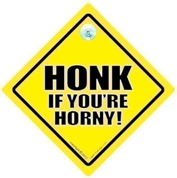 Honk If You're Horny Car Sign, Honk If You're Horny Sign, Car Sign ...