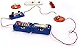 Eisco Labs Basic Beginner Circuit Kit For Teaching Series and Parallel Circuits- Switch, (2) 'D ...