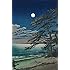 Amazon.com: Japanese Art Print "Road to Nikko" by Kawase Hasui: Posters ...